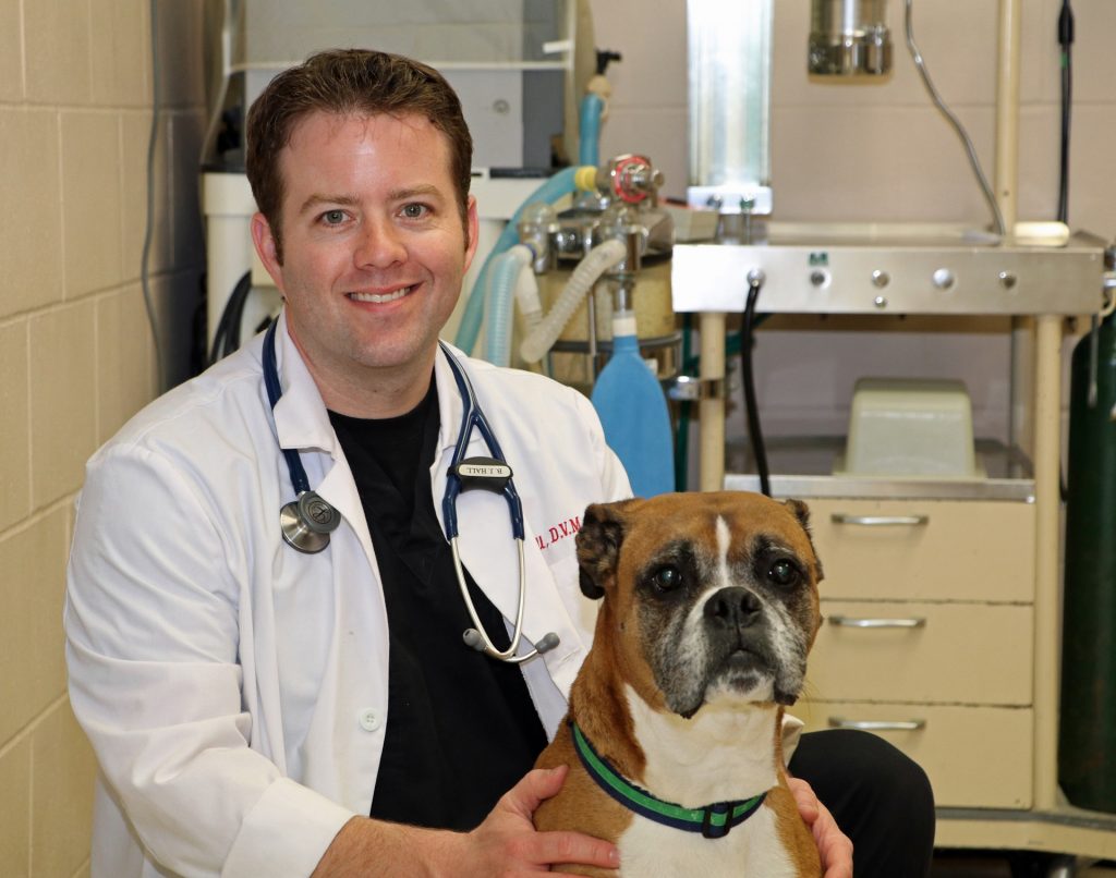 Our Veterinary Team In Fairfield, OH | Mt Pleasant Animal Hospital